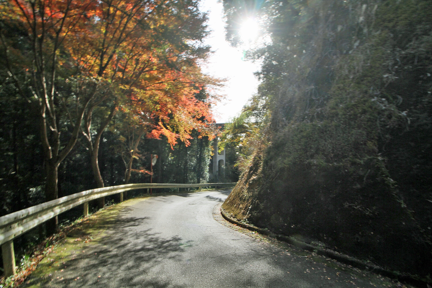 紅葉坂: 雅爺の小部屋